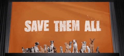 Pledge Your Love Save Them All GIF by Best Friends Animal Society ...