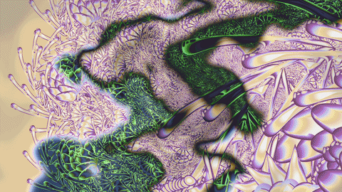 Fly Demon GIF by A.M.T.G. G.G. - Find & Share on GIPHY