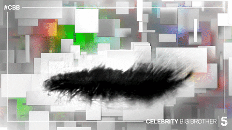 Celebrity Big Brother GIF by Big Brother UK - Find & Share on GIPHY