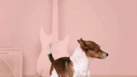 Dance Adopt GIF by ADWEEK - Find & Share on GIPHY