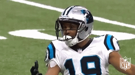 Carolina Panthers Football GIF by NFL - Find & Share on GIPHY