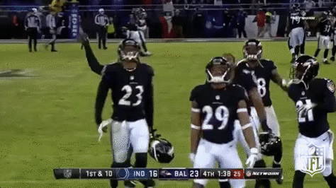 Baltimore Ravens Football GIF by NFL - Find & Share on GIPHY