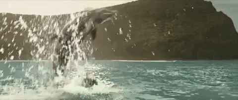 Sony Home Ent GIF by The Shallows - Find & Share on GIPHY