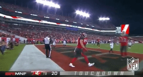 Tampa Bay Buccaneers Football GIF by NFL - Find & Share on GIPHY