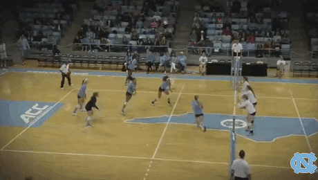 Celebration Spike GIF by UNC Tar Heels - Find & Share on GIPHY