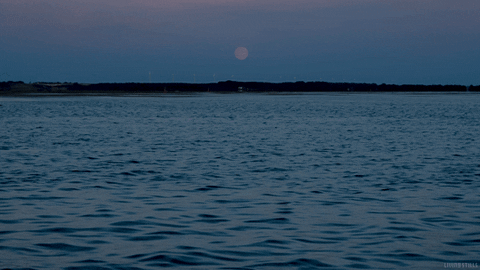 Perfect Loop GIF by Living Stills - Find & Share on GIPHY