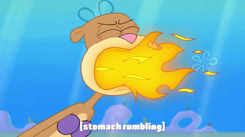 Episode 1 GIF by SpongeBob SquarePants - Find & Share on GIPHY