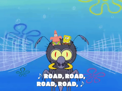 Season 8 Spongebob'S Runaway Roadtrip: A Squarepants Family Vacation ...