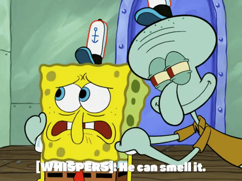 Season 6 The Splinter GIF by SpongeBob SquarePants - Find & Share on GIPHY