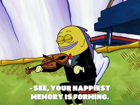 Season 8 GIF by SpongeBob SquarePants - Find & Share on GIPHY