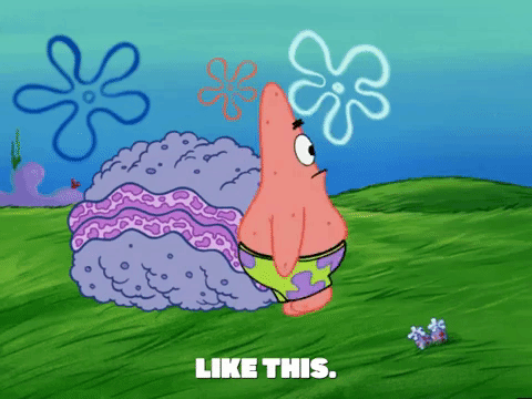 Season 6 Porous Pockets GIF by SpongeBob SquarePants - Find & Share on ...