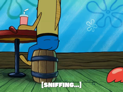 Season 6 The Splinter GIF by SpongeBob SquarePants - Find & Share on GIPHY