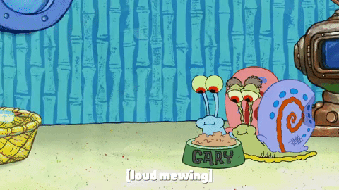 Season 9 Sanctuary GIF by SpongeBob SquarePants - Find & Share on GIPHY