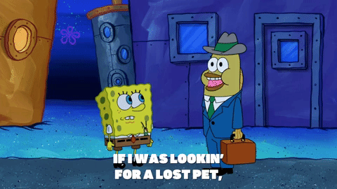 Season 9 Safe Deposit Krabs GIF by SpongeBob SquarePants - Find & Share ...