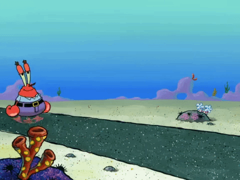 Season 6 Gullible Pants GIF by SpongeBob SquarePants - Find & Share on ...