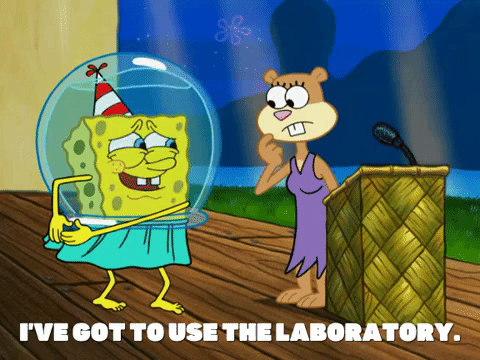 Season 6 Gullible Pants GIF by SpongeBob SquarePants - Find & Share on ...