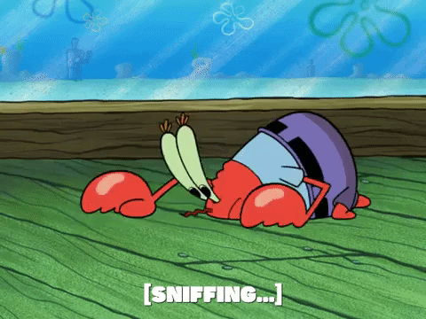 Season 6 The Splinter GIF by SpongeBob SquarePants - Find & Share on GIPHY