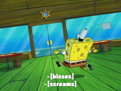 Season 8 GIF by SpongeBob SquarePants - Find & Share on GIPHY