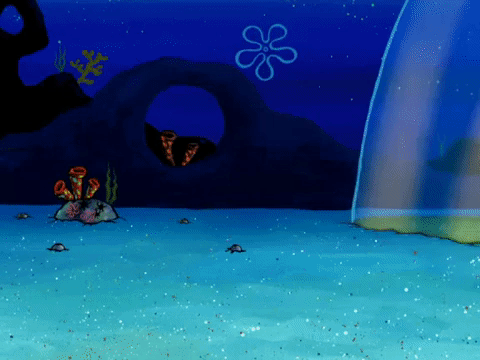 Season 6 Gullible Pants GIF by SpongeBob SquarePants - Find & Share on ...