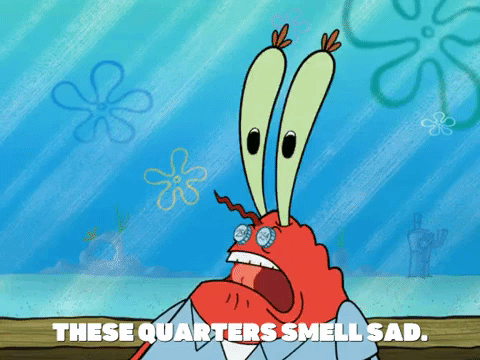 Season 6 The Splinter GIF by SpongeBob SquarePants - Find & Share on GIPHY