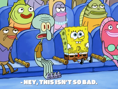 Season 8 GIF by SpongeBob SquarePants - Find & Share on GIPHY