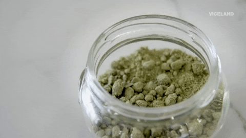 Weed GIF by Bong Appétit - Find & Share on GIPHY