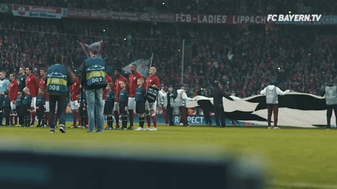 Allianz Arena Fans GIF by FC Bayern Munich - Find & Share on GIPHY