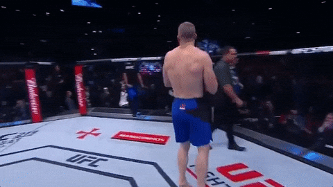 Ufc 212 GIF - Find & Share on GIPHY
