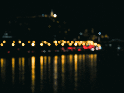 mezitlab GIF - Find & Share on GIPHY