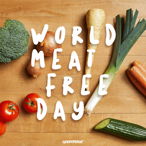 - Find & Share on GIPHY