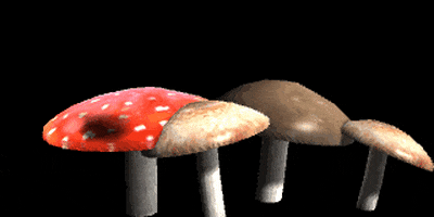 Mushroom GIF by Arithmancy - Find & Share on GIPHY