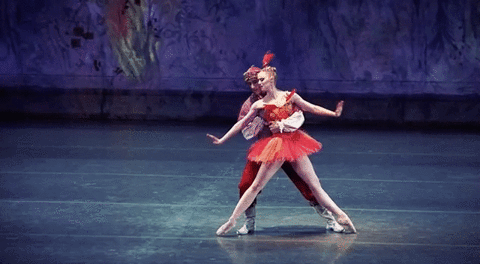 Bird Ballerina GIF by New York City Ballet - Find & Share on GIPHY
