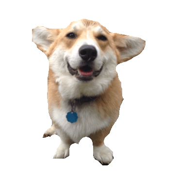 Corgi Sticker by imoji for iOS & Android | GIPHY