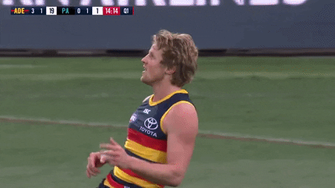 Australian Football League Sport GIF by Adelaide Crows - Find & Share ...
