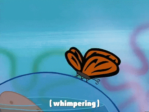 Season 2 GIF by SpongeBob SquarePants - Find & Share on GIPHY