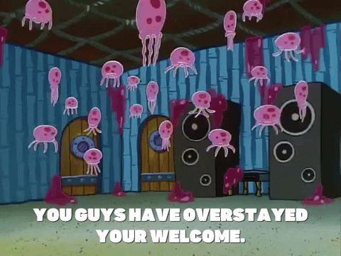 Season 1 Hall Monitor GIF by SpongeBob SquarePants - Find & Share on GIPHY
