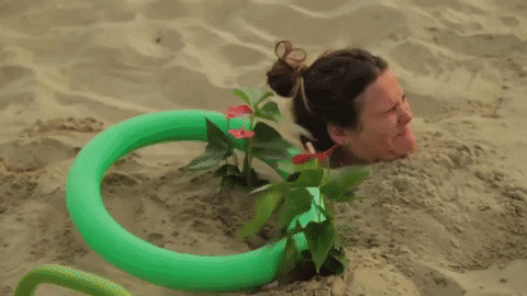 Ring Toss GIFs - Get the best GIF on GIPHY