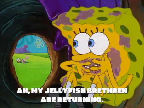 Season 1 Nature'S Pants GIF by SpongeBob SquarePants - Find & Share on ...