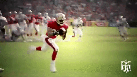 San Francisco 49Ers GIF by NFL - Find & Share on GIPHY