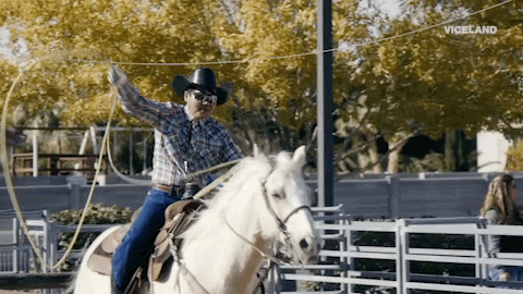 Wrangler GIF by Dead Set on Life - Find & Share on GIPHY