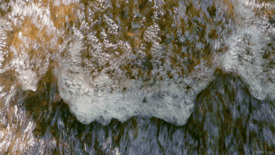 Loop Water GIF by Living Stills - Find & Share on GIPHY