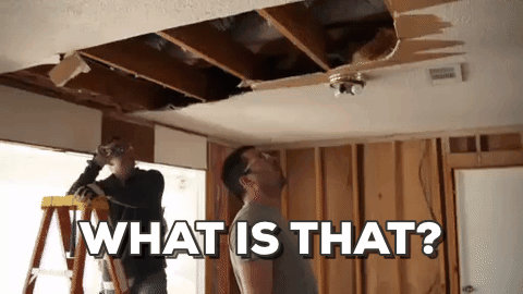 HGTV GIF - Find & Share on GIPHY