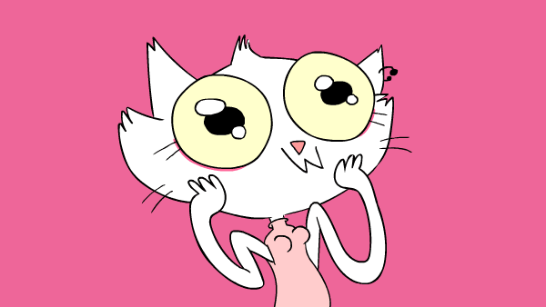 Kitty Wow GIF by Sarah Schmidt - Find & Share on GIPHY