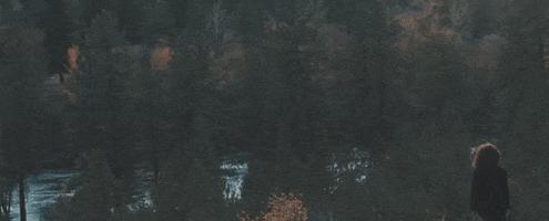 Forest GIF by State Champs - Find & Share on GIPHY