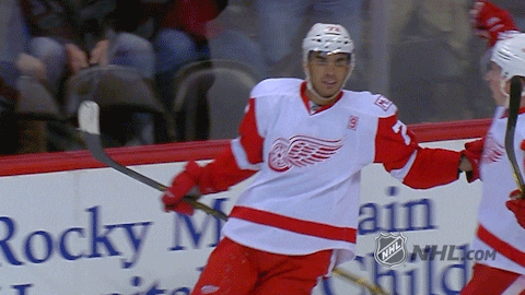 Detroit Red Wings Hug GIF by NHL - Find & Share on GIPHY