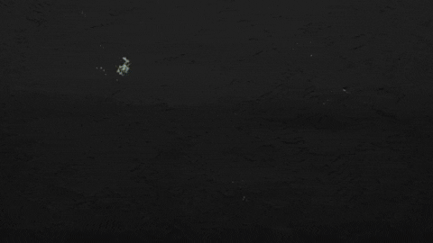 Sun Up GIFs - Find & Share on GIPHY