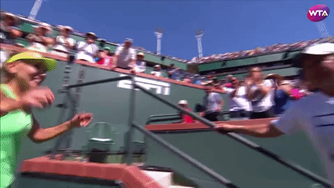 Wta Tennis GIF by WTA - Find & Share on GIPHY