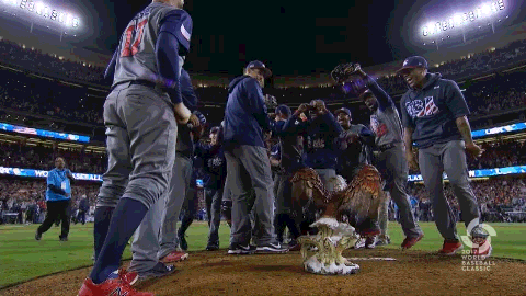 World Baseball Classic Wbc GIF by MLB - Find & Share on GIPHY
