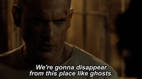 Michael Scofield Fox GIF by Prison Break - Find & Share on GIPHY