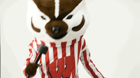 Wisconsin Bucky GIF by uwmadison - Find & Share on GIPHY
